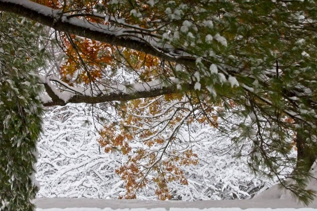 Amazing: Michiganders capture beauty of November snow