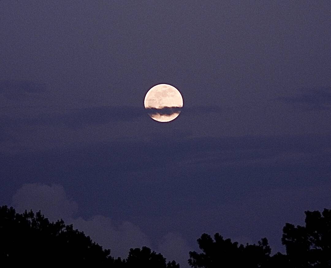 PHOTOS: This is what the ‘super blood moon’ looked like in the Houston ...